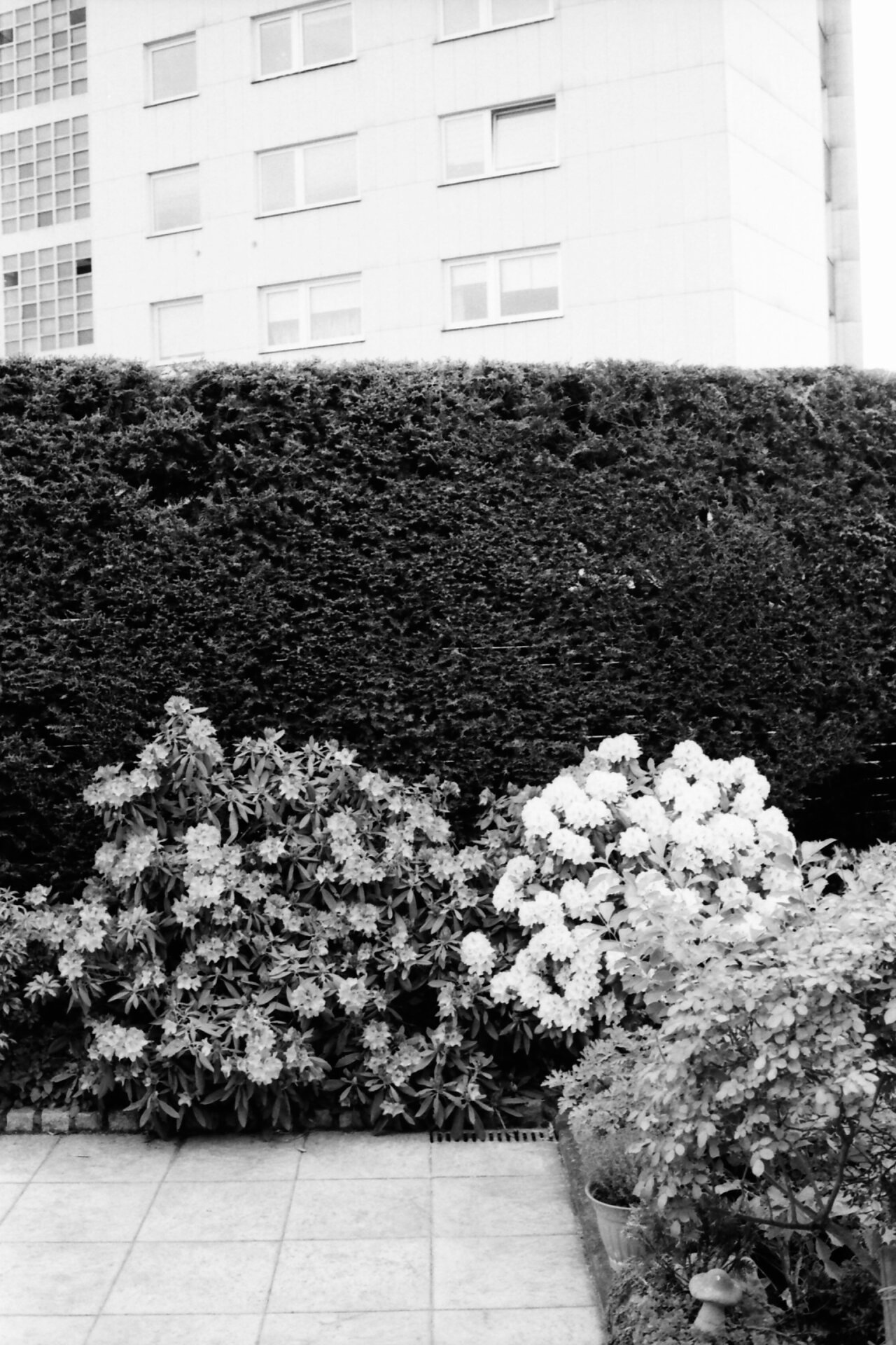 May 2018 – Daniel Pietzsch’s Photo Journal